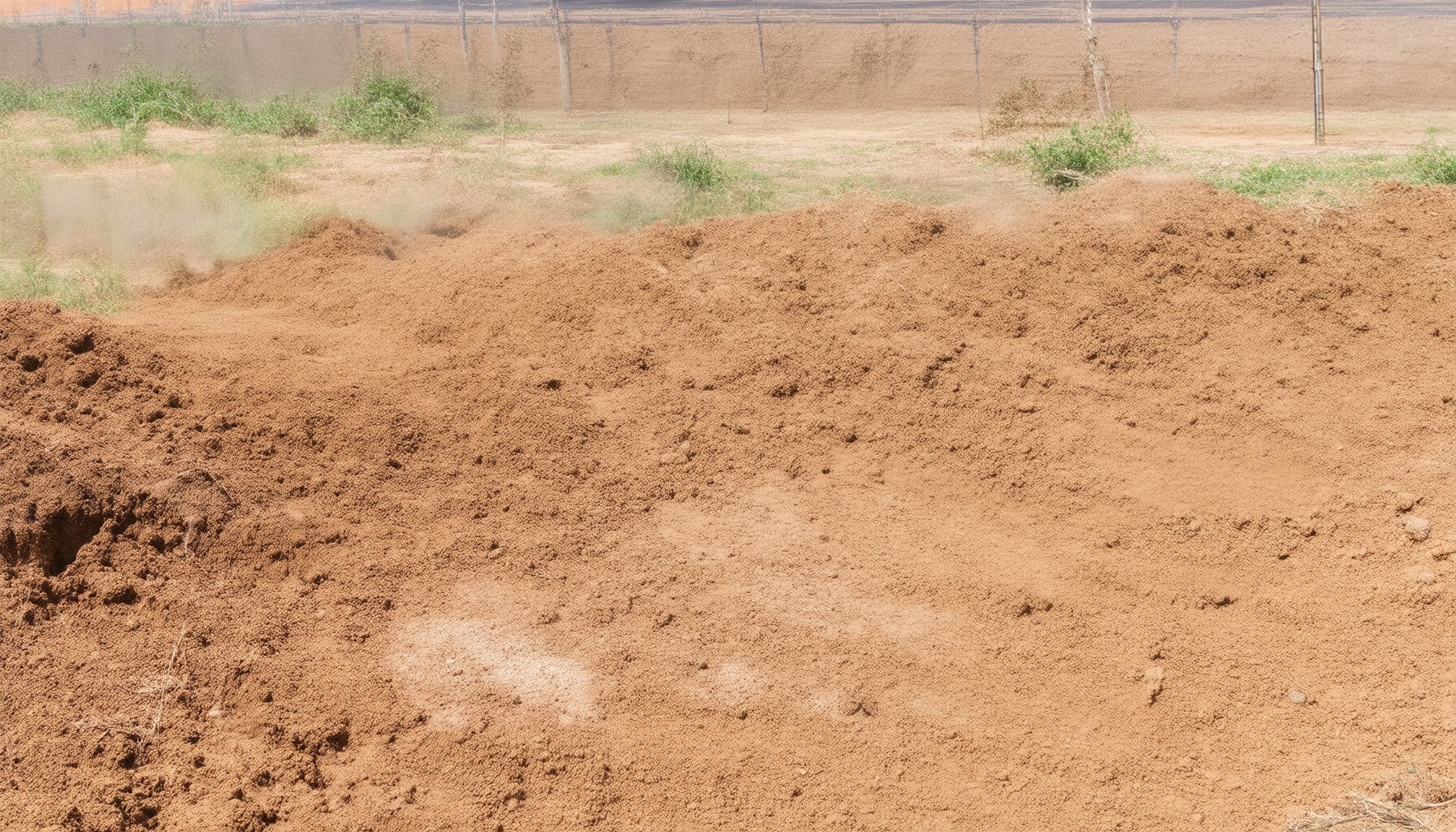 Mastering Soil Remediation Techniques: A Comprehensive Guide - Old Seed